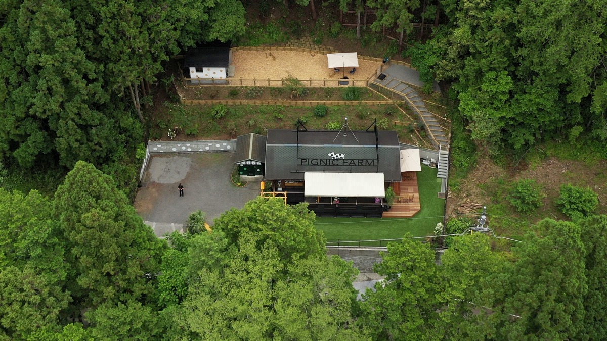 pignic farm&cafe 6月25日からグランドオープン - pignic cafe