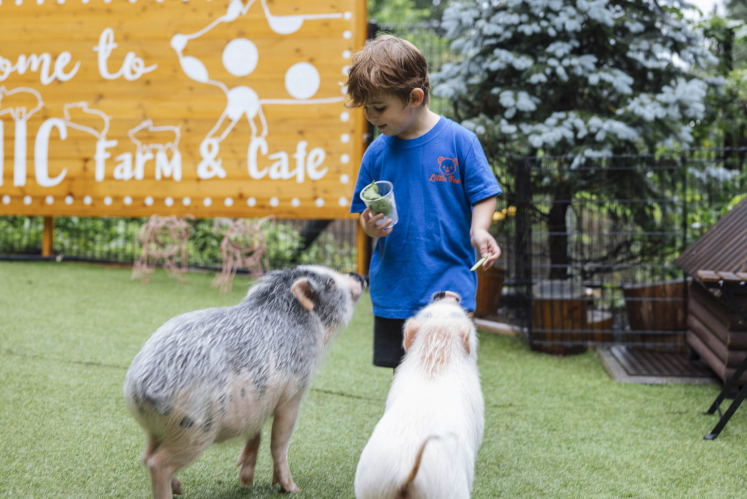 インターナショナルスクールの幼児さん来訪 - pignic cafe