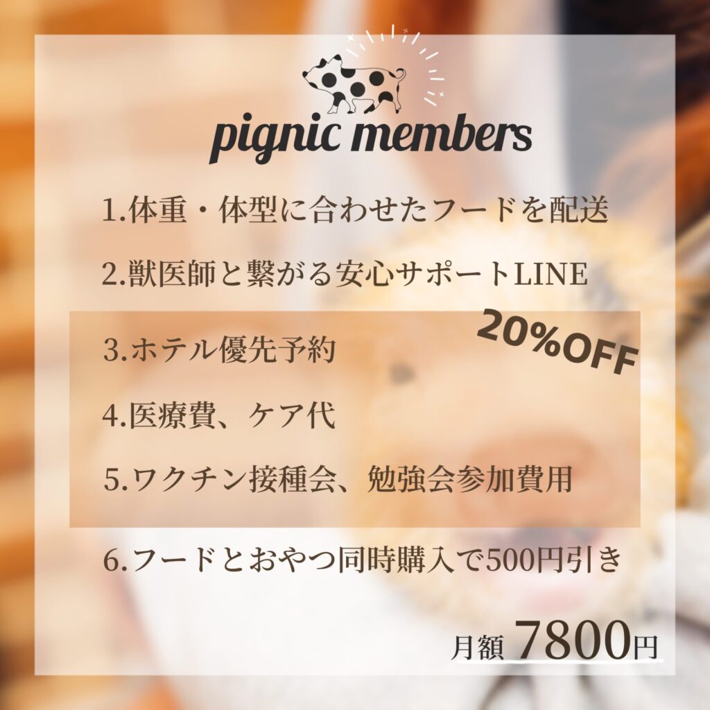 【クリニック開設記念】お迎えキャンペーン開催中！ - pignic cafe
