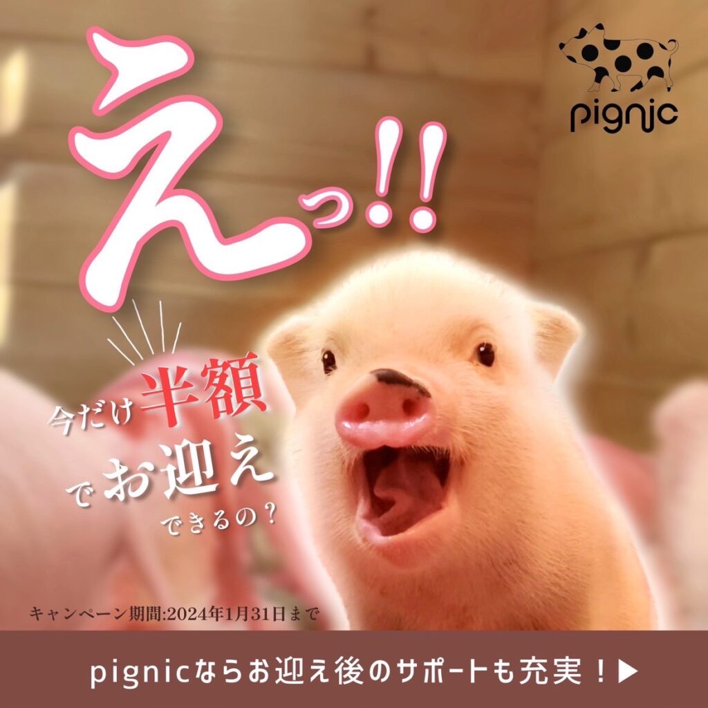 pignic cafe -ピグニック カフェ- マイクロブタと遊べる牧場体験型の総合施設