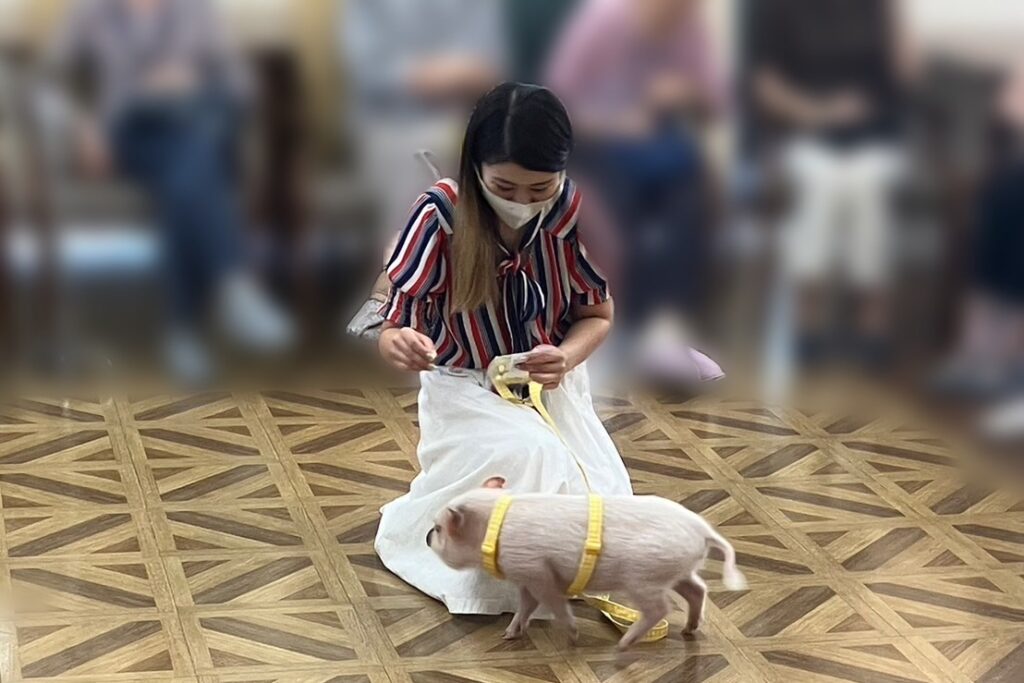 pignic cafe -ピグニック カフェ- マイクロブタと遊べる牧場体験型の総合施設