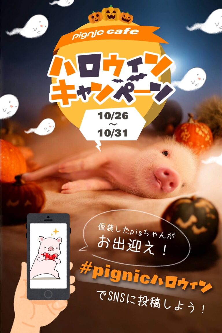 pignic cafe -ピグニック カフェ- マイクロブタと遊べる牧場体験型の総合施設